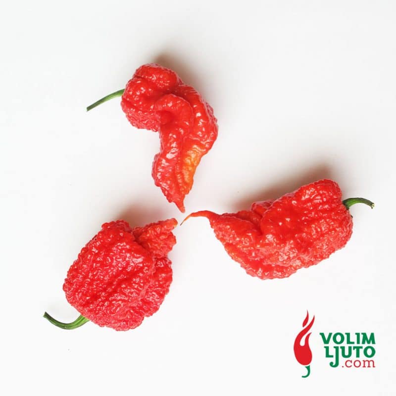 Carolina Reaper - bivša najljuća papričica na svijetu - Sjemenke ...